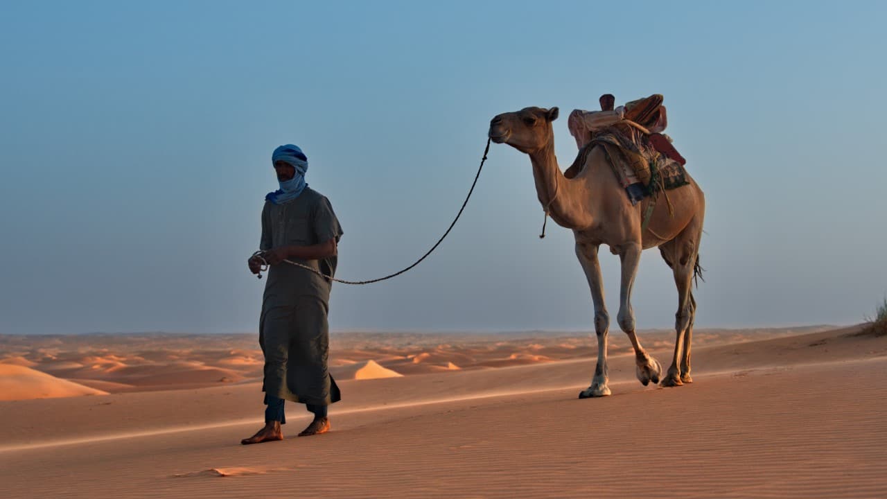 23 Interesting Facts About Mauritania - The Facts Institute
